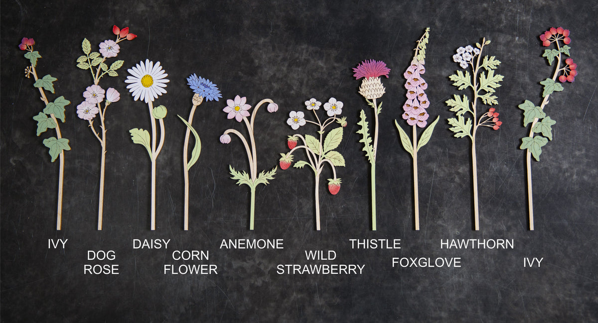 Individual Hedgerow Flower stems – Betsy & Els